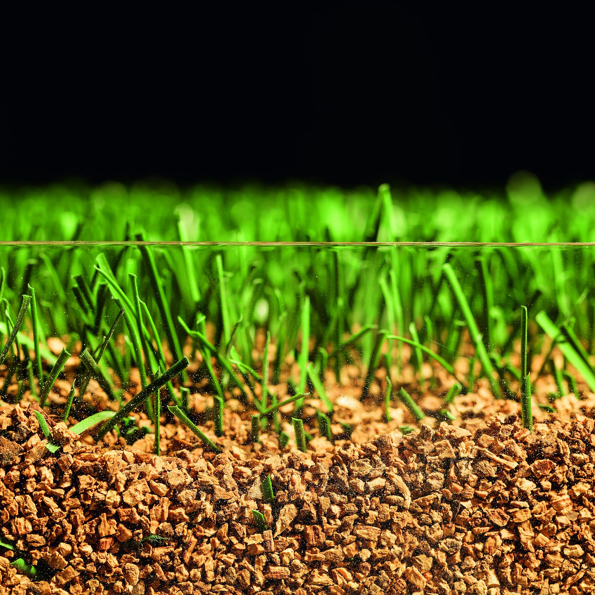 Counting on cork: How a natural material helps drive sustainability ...